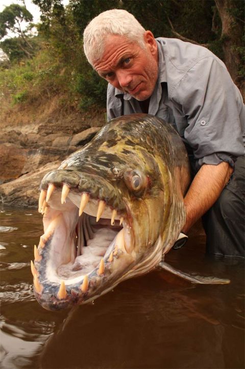 The Reality of River Monsters | Live Science