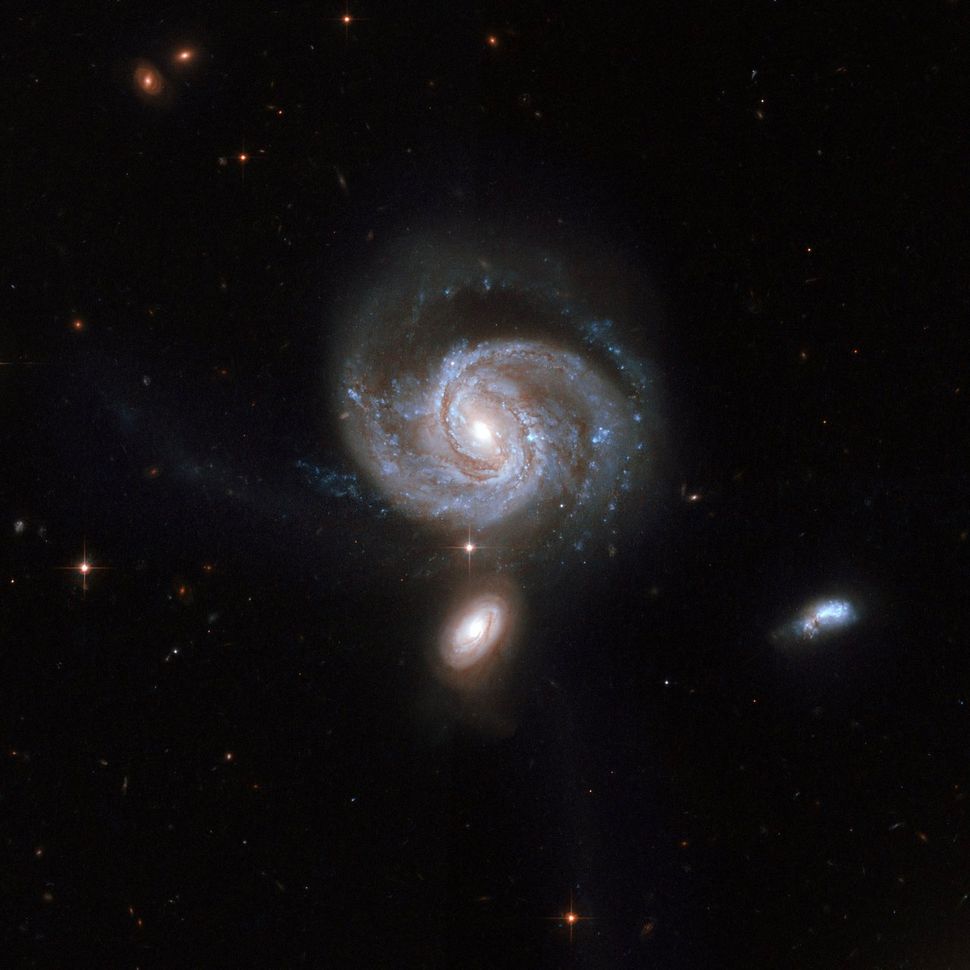 The 15 weirdest galaxies in our universe | Live Science