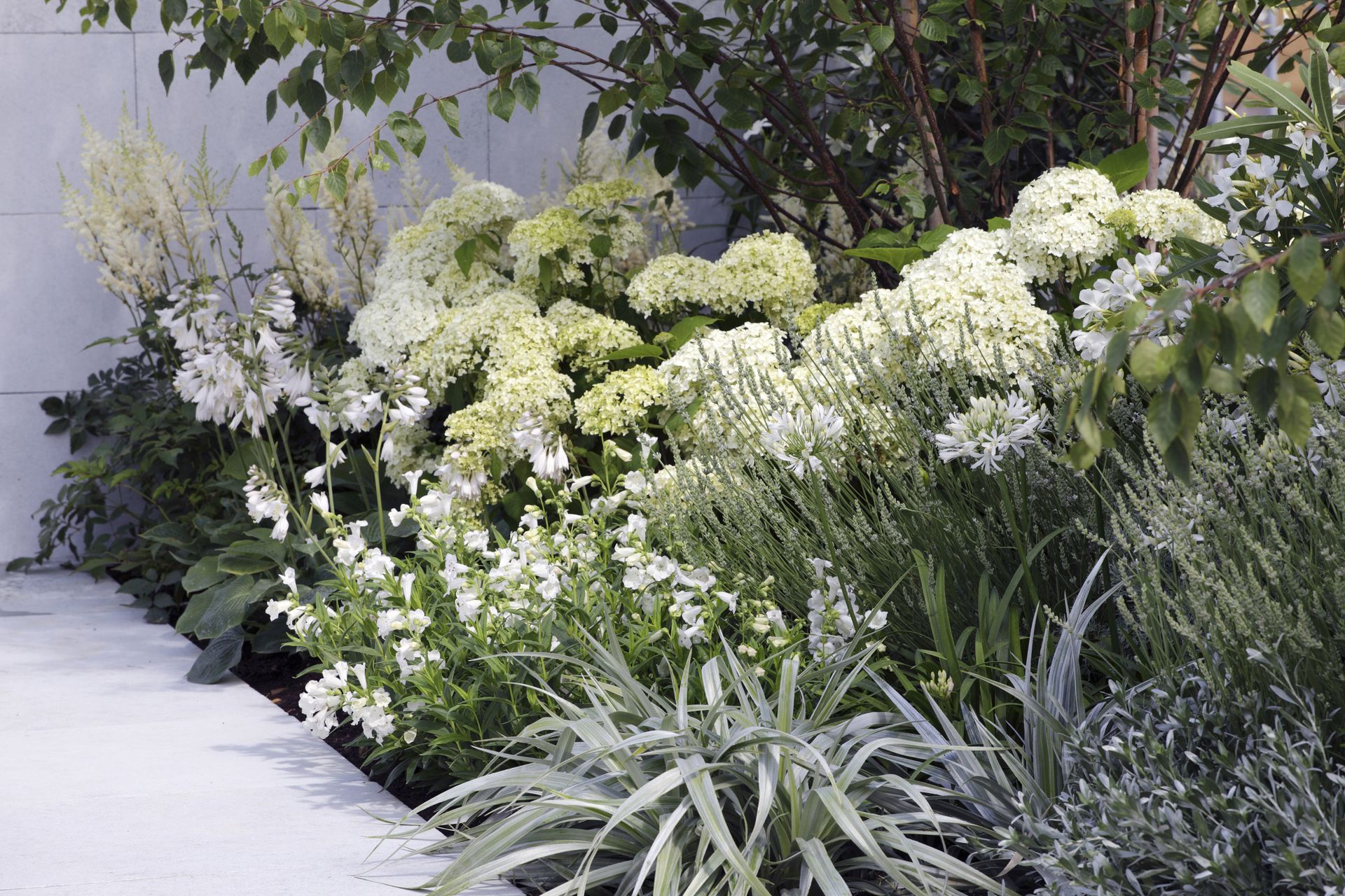 18 garden border ideas for the perfect planting scheme | Real Homes