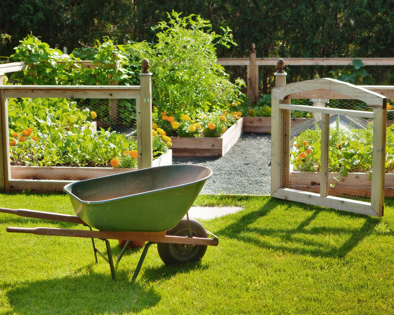 8 Steps To Rid Your Vegetable Garden Of Pests Naturally | Gardening ...
