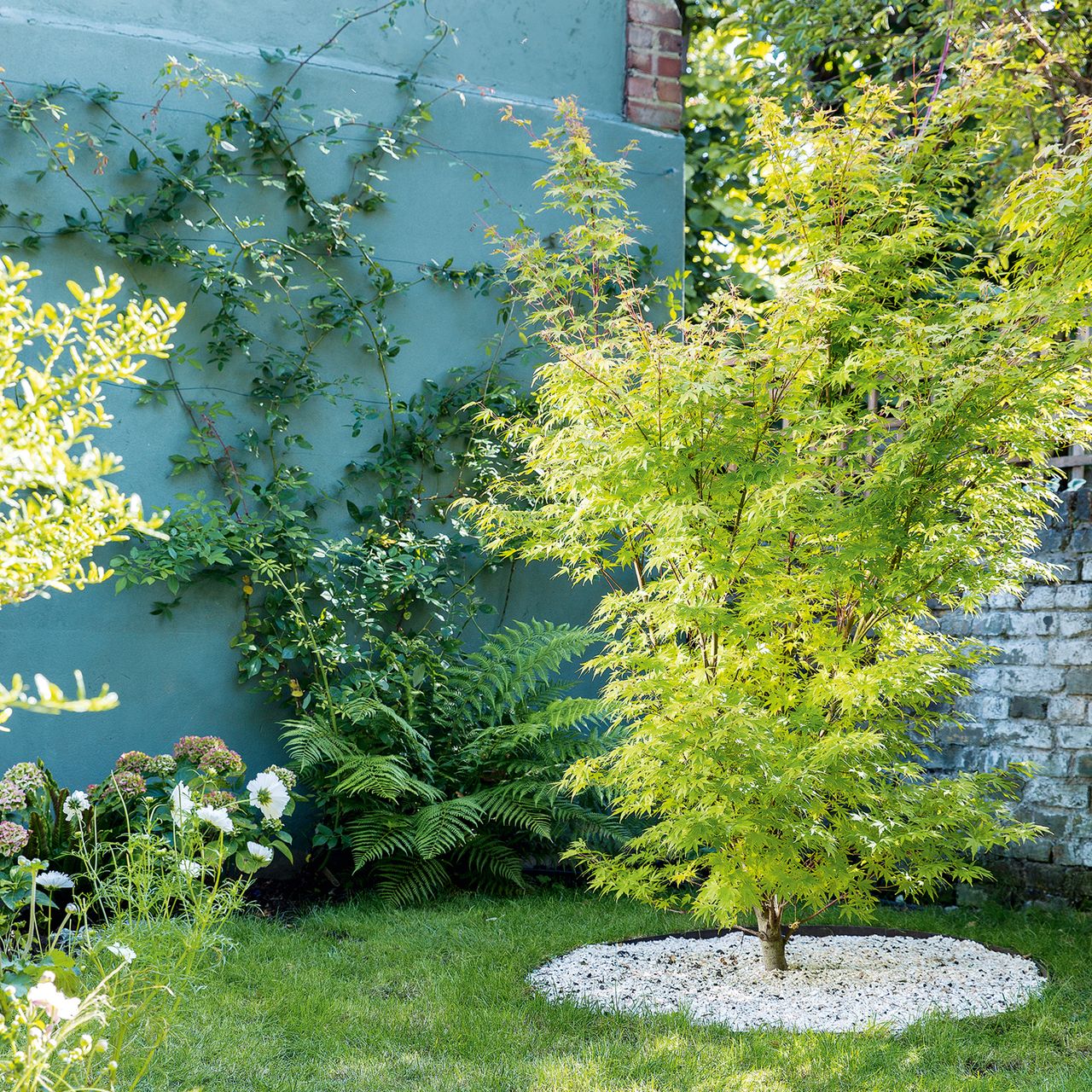 How to hide an ugly garden wall - 5 expert-approved ideas to disguise a ...