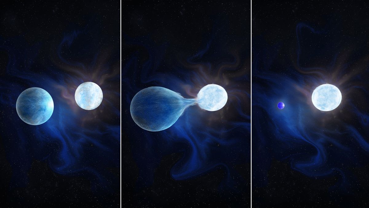 Astronomers discover 25 'stripped stars' that may be a missing link in ...