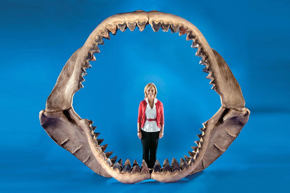 Photos: These animals used to be giants | Live Science