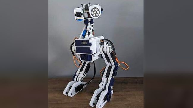 Raspberry Pi Powers Friendly Companion Robot | Tom's Hardware
