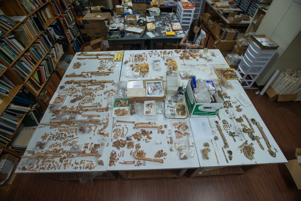 Skeleton of Teen Girl Yields Central America's Oldest Cancer Case ...