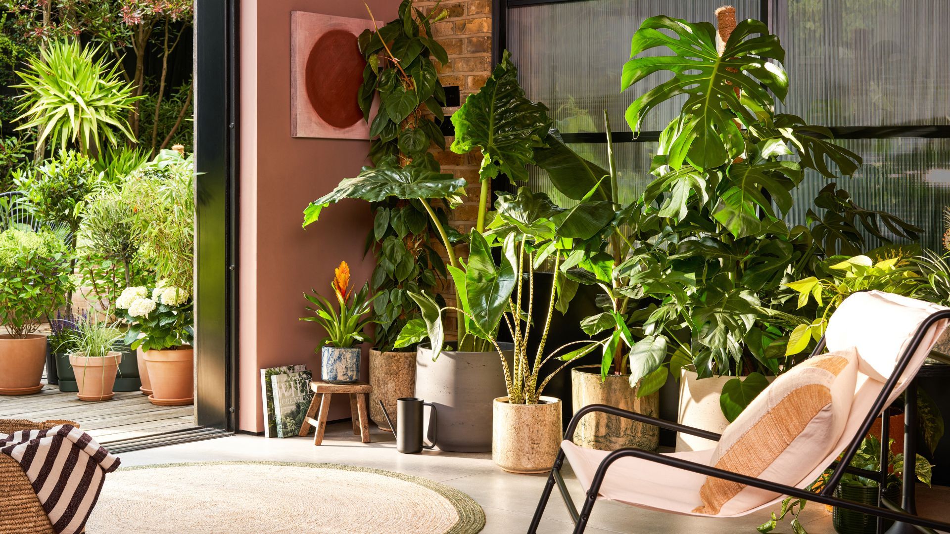 5 Types of Tropical Houseplants for Your Indoor Garden | Livingetc