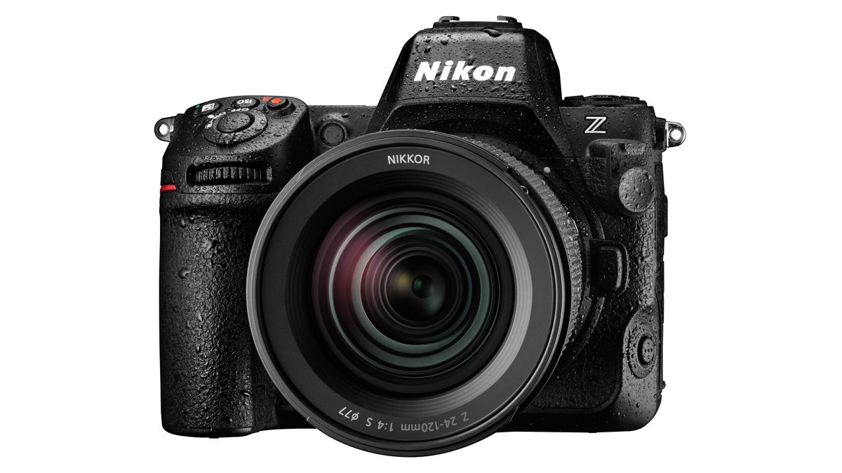 How the heck do you decide which Nikon full-frame mirrorless camera is ...
