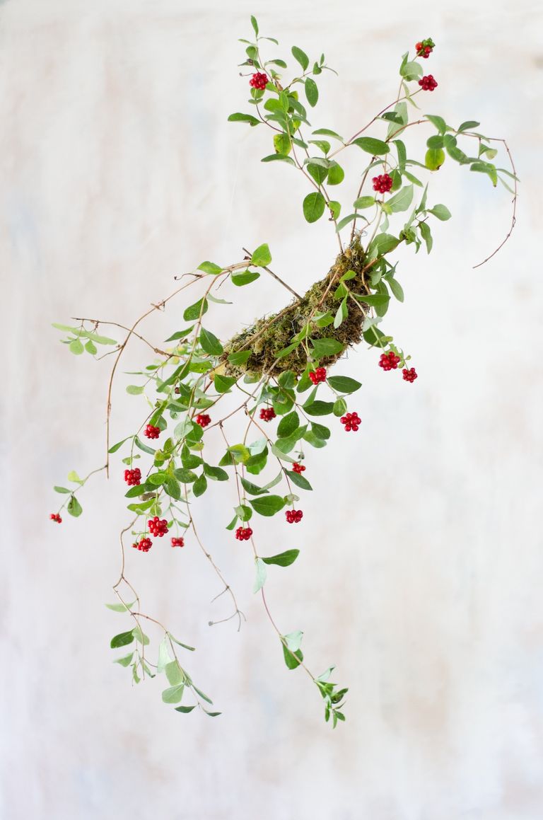 Hanging flower decor: hanging flowers for a pretty display | Homes and ...