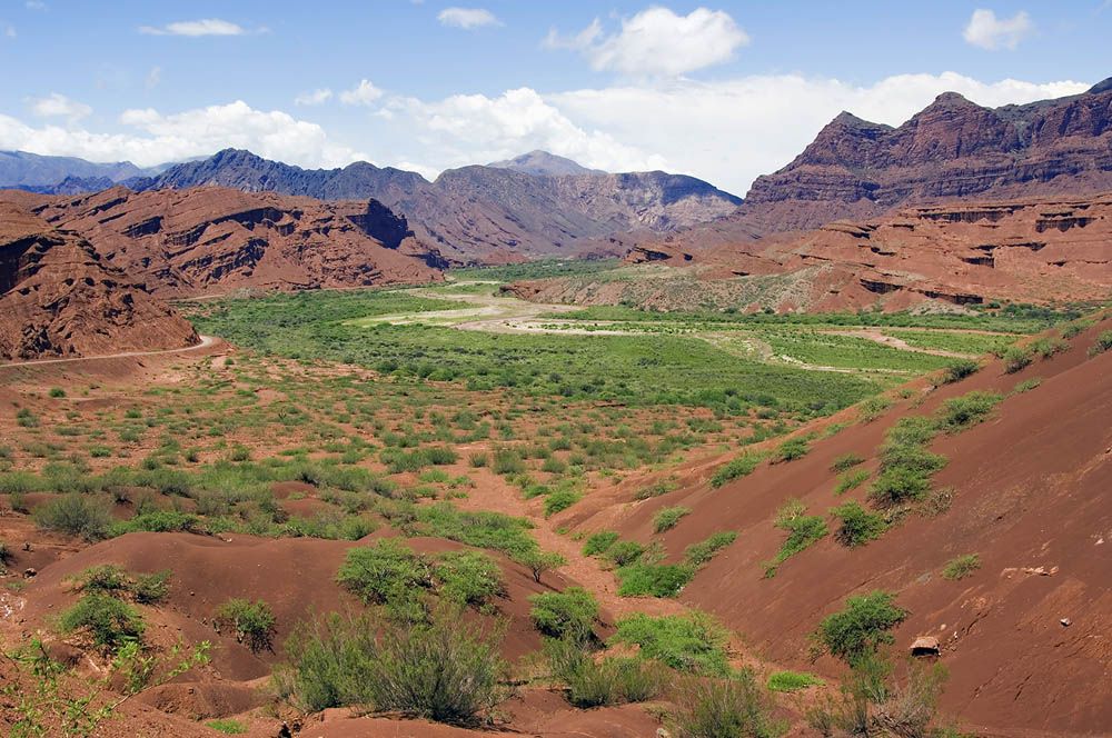 Vistas and vines in Argentina's Calchaquí Valley | The Week