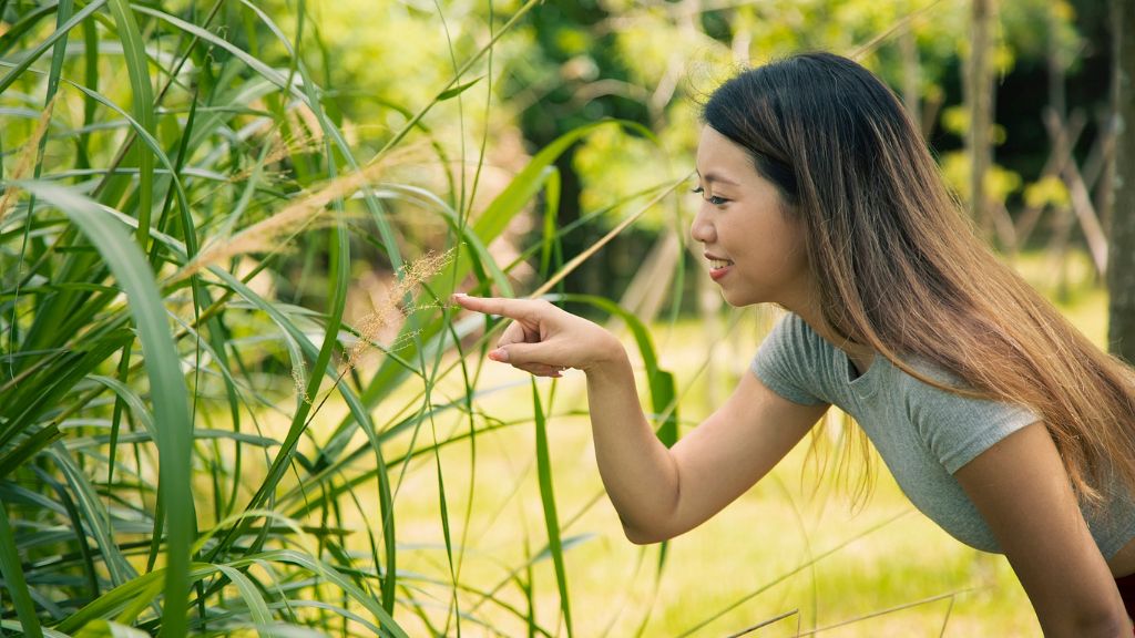 How to Identify Plants: The 10 Rules to Follow | Gardening Know How