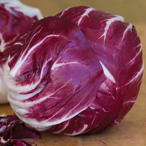 How to grow chicory - an expert guide to great harvests | Homes and Gardens