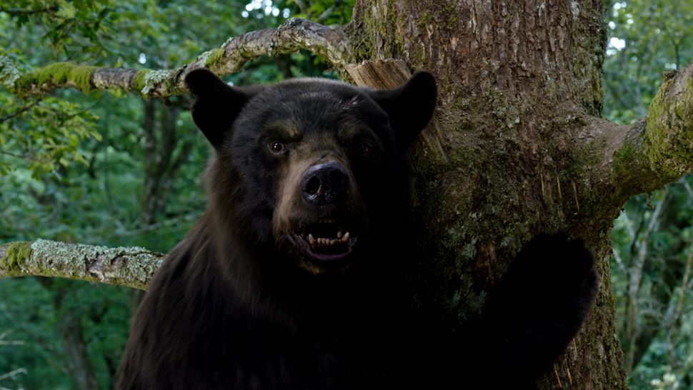 32 Scary Animal Movies That Aren't About Dinosaurs Or Sharks | Cinemablend