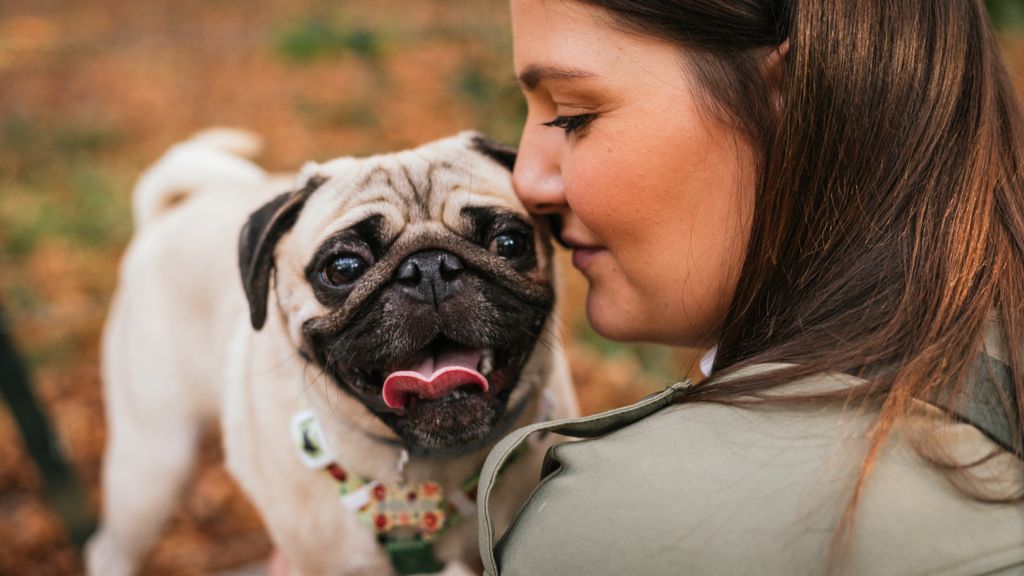 20 wrinkly dog breeds from little pugs to giant mastiffs | PetsRadar
