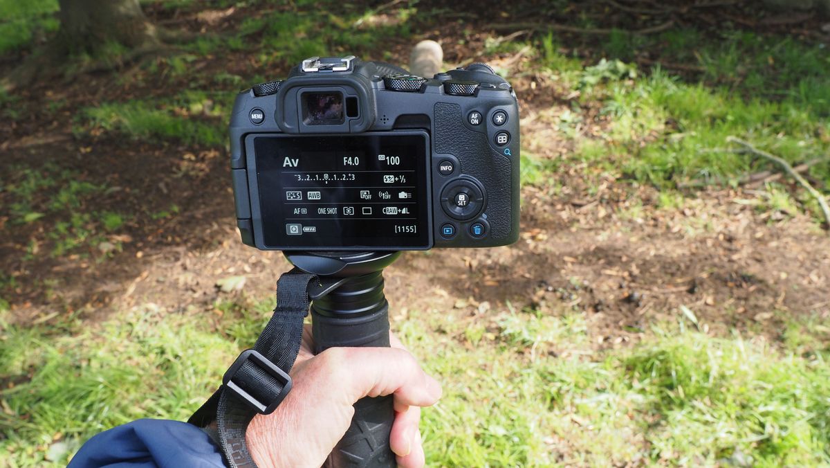3 Legged Thing Lance - this monopod reaches new heights for ...