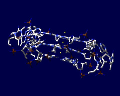 Code of Life: Photos of DNA Structures | Live Science