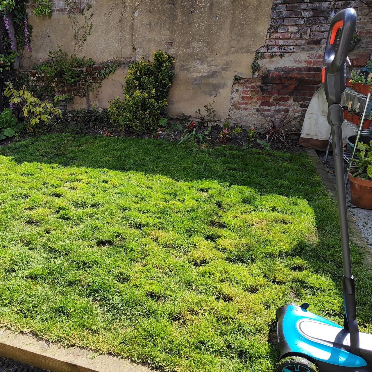 This compact lawn mower is a dream for small gardens | Ideal Home