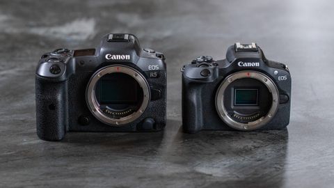 Get the most out of your new Sigma lenses on Canon EOS R-series cameras ...