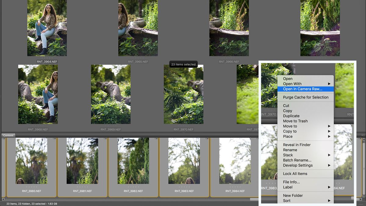 Big up background blur in your photo portraits using the Brenizer bokeh ...