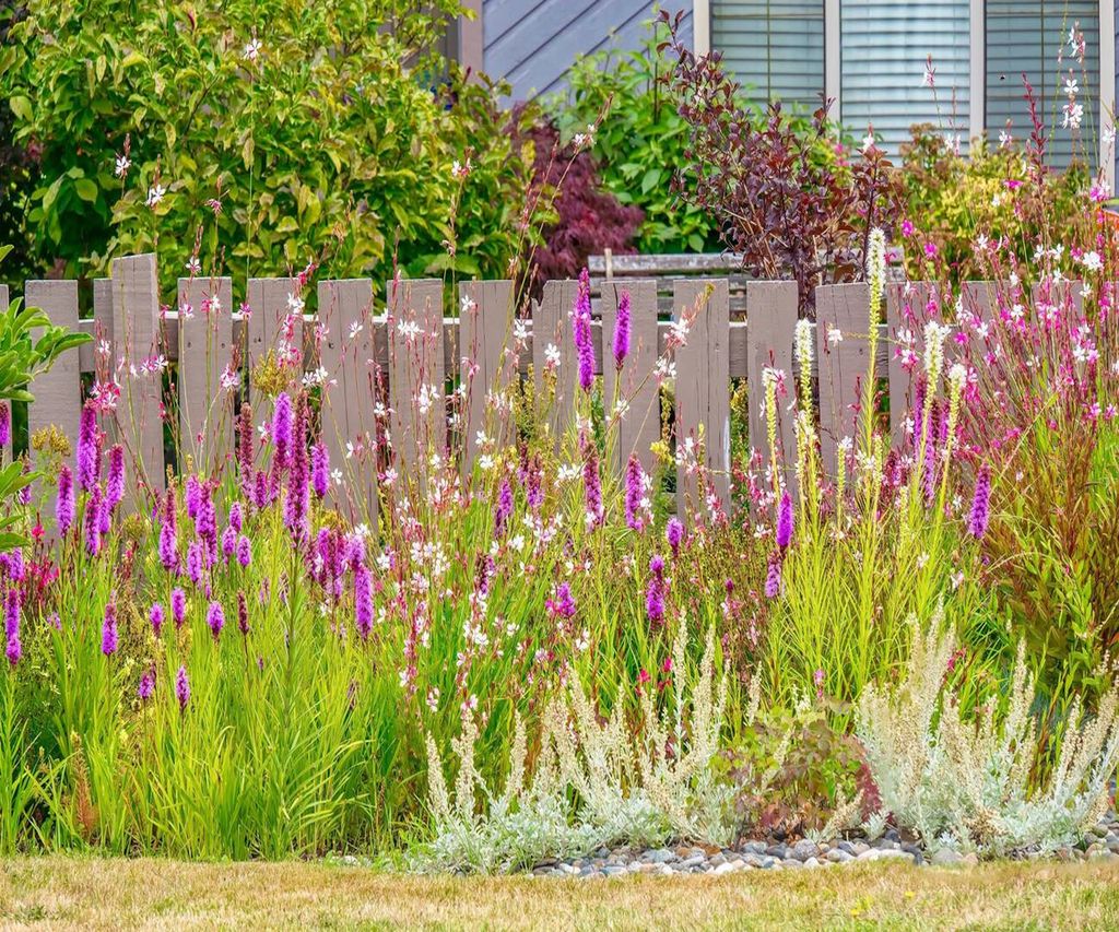 Who actually owns my fence? Advice from a legal expert | Homes and Gardens