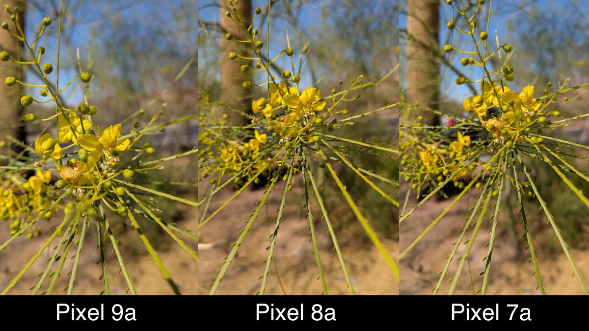I pit the Google Pixel 9a camera against the Pixel 8a and Pixel 7a ...