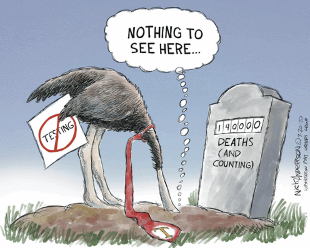 Political Cartoon U.S. Trump ostrich coronavirus deaths | The Week