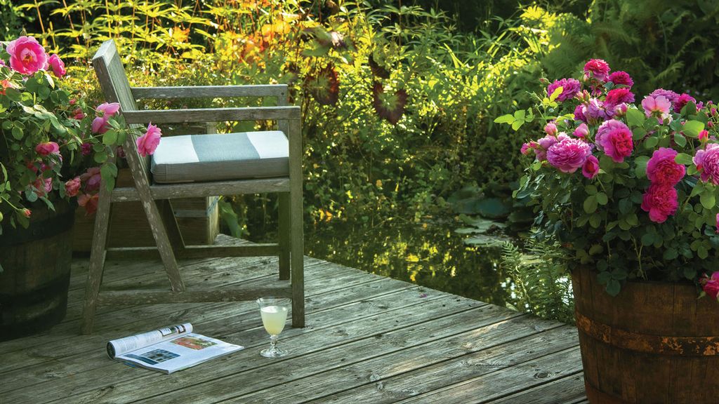 10 plants that magically make your backyard more relaxing | Livingetc