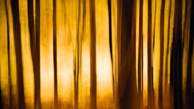 10 reasons why your photos are blurry | TechRadar