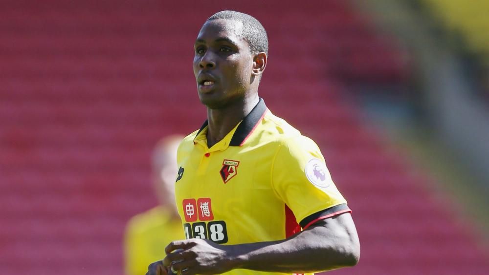Ighalo signs new Watford contract | FourFourTwo