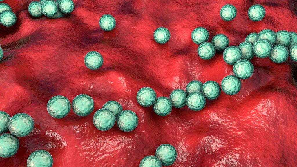 Dangerous strep infection surging in the UK may be spreading in US ...
