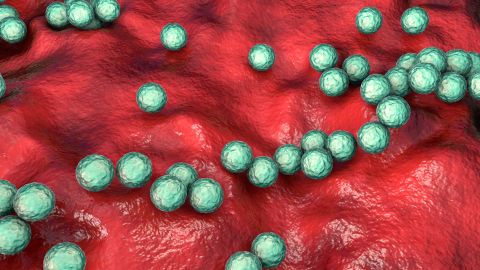 Dangerous strep infection surging in the UK may be spreading in US ...