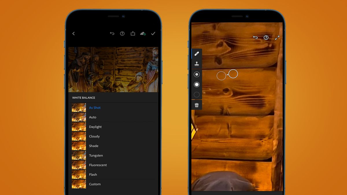 Apple ProRaw: how to master the iPhone 12 Pro's new photo format ...
