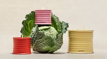 Diptyque Eau Rose perfume gets an offbeat revamp | Wallpaper