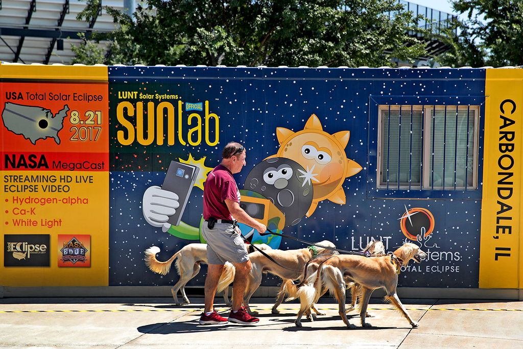 Photos: Coolest 2017 Solar Eclipse Signs and Celebrations | Space