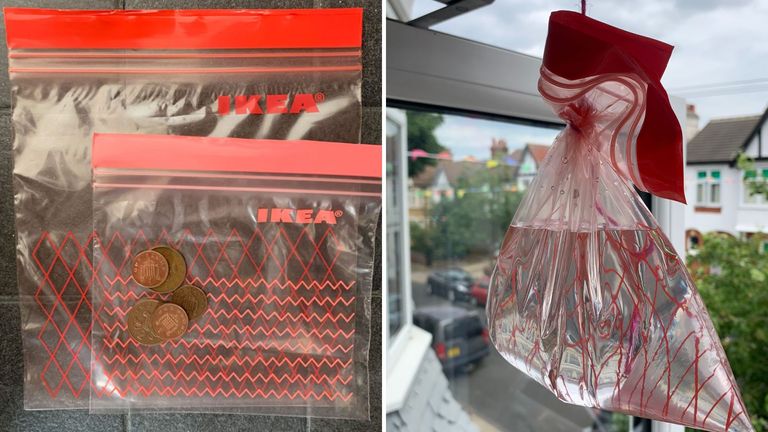 How to get rid of flies in the house: 8 tested methods | Woman & Home