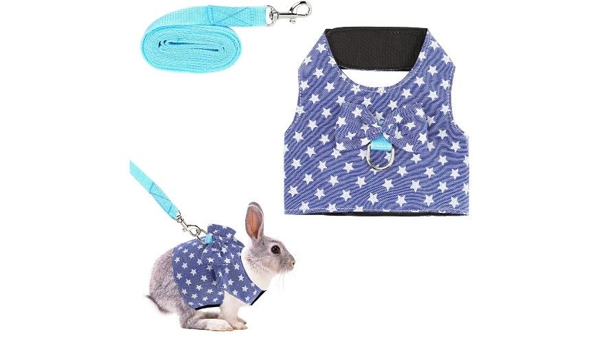 Best rabbit harness: Let them explore in safety | PetsRadar