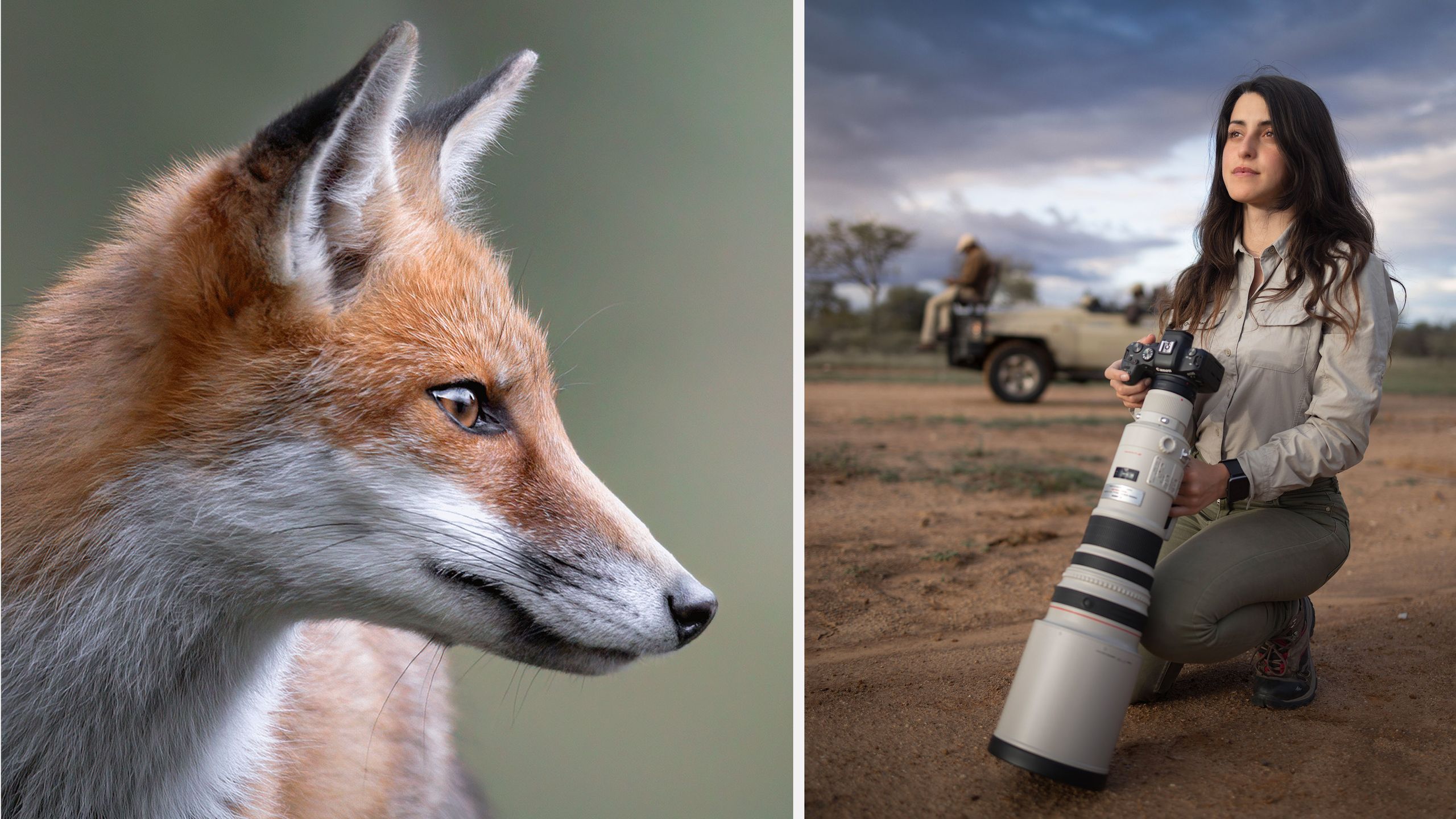 Wildlife photographer Sharon Vanadia shares her story and Canon camera ...