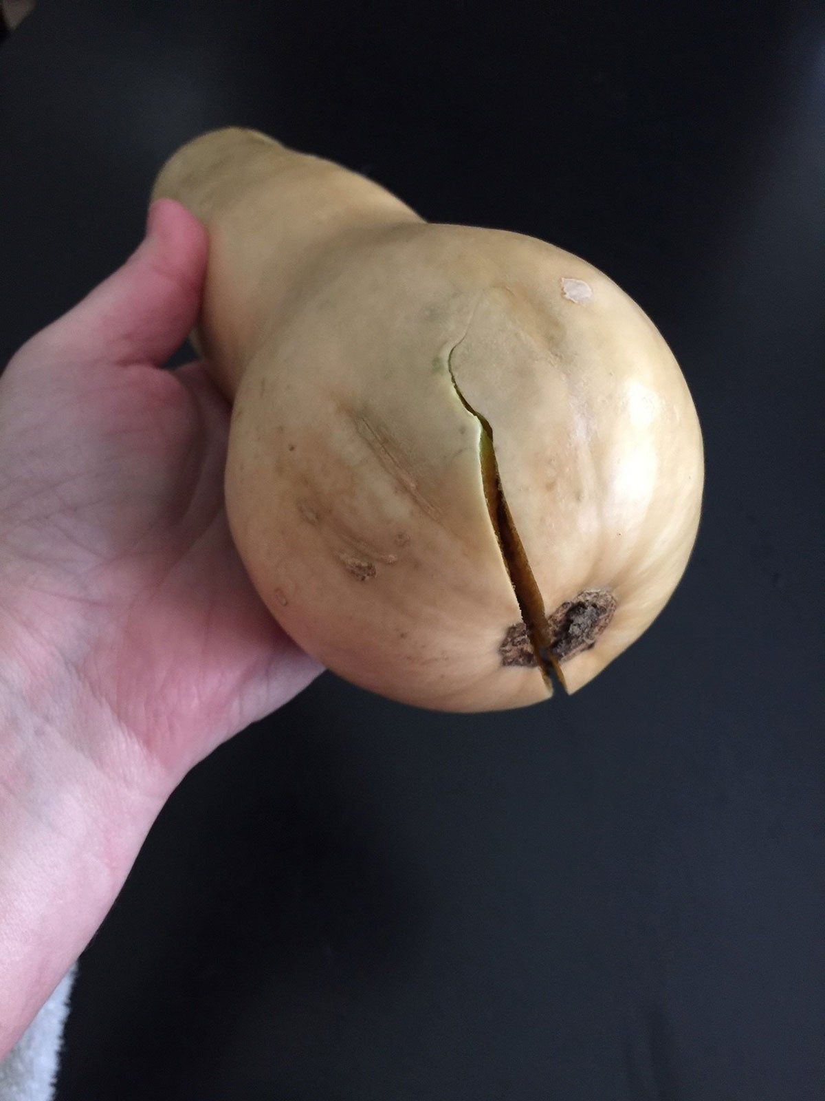 Butternut Squash Problems: What To Do For Fruit Split In Butternut ...