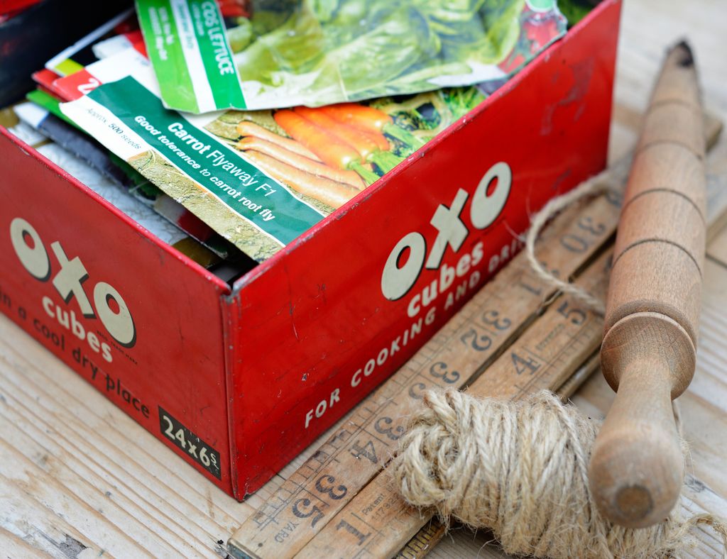 How to prepare for seed sowing: 7 game changing tips to try | Homes and ...