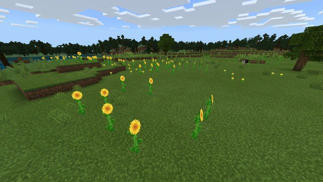 Minecraft Guide to Biomes: A list of every biome currently in the game ...
