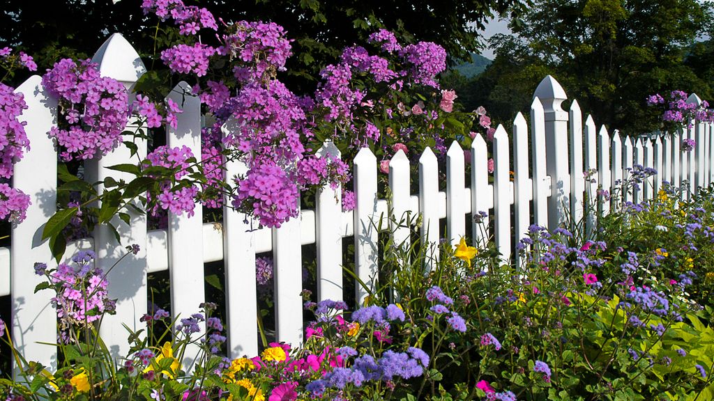 Small Fence Ideas to Zone, Divide and Define Your Garden | Homebuilding