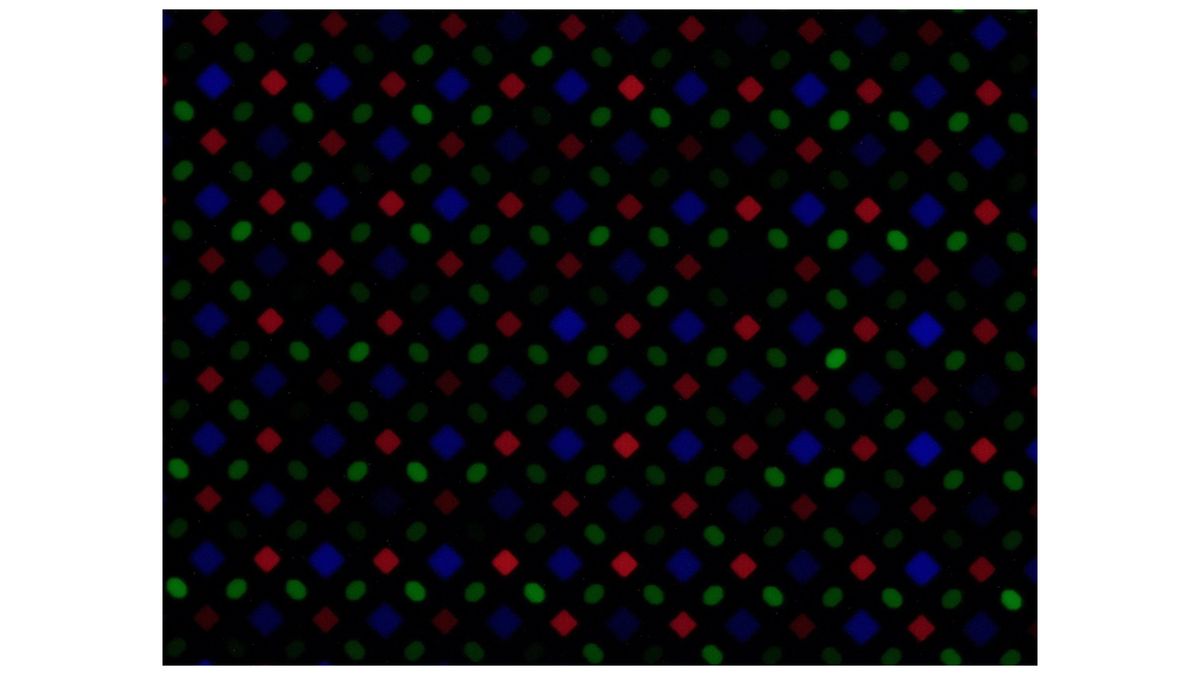 Another Samsung Galaxy S24 display issue revealed on Reddit — what we ...