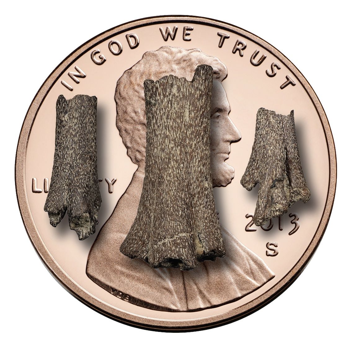 Birds have been nesting in the Arctic Circle for almost 73 million ...