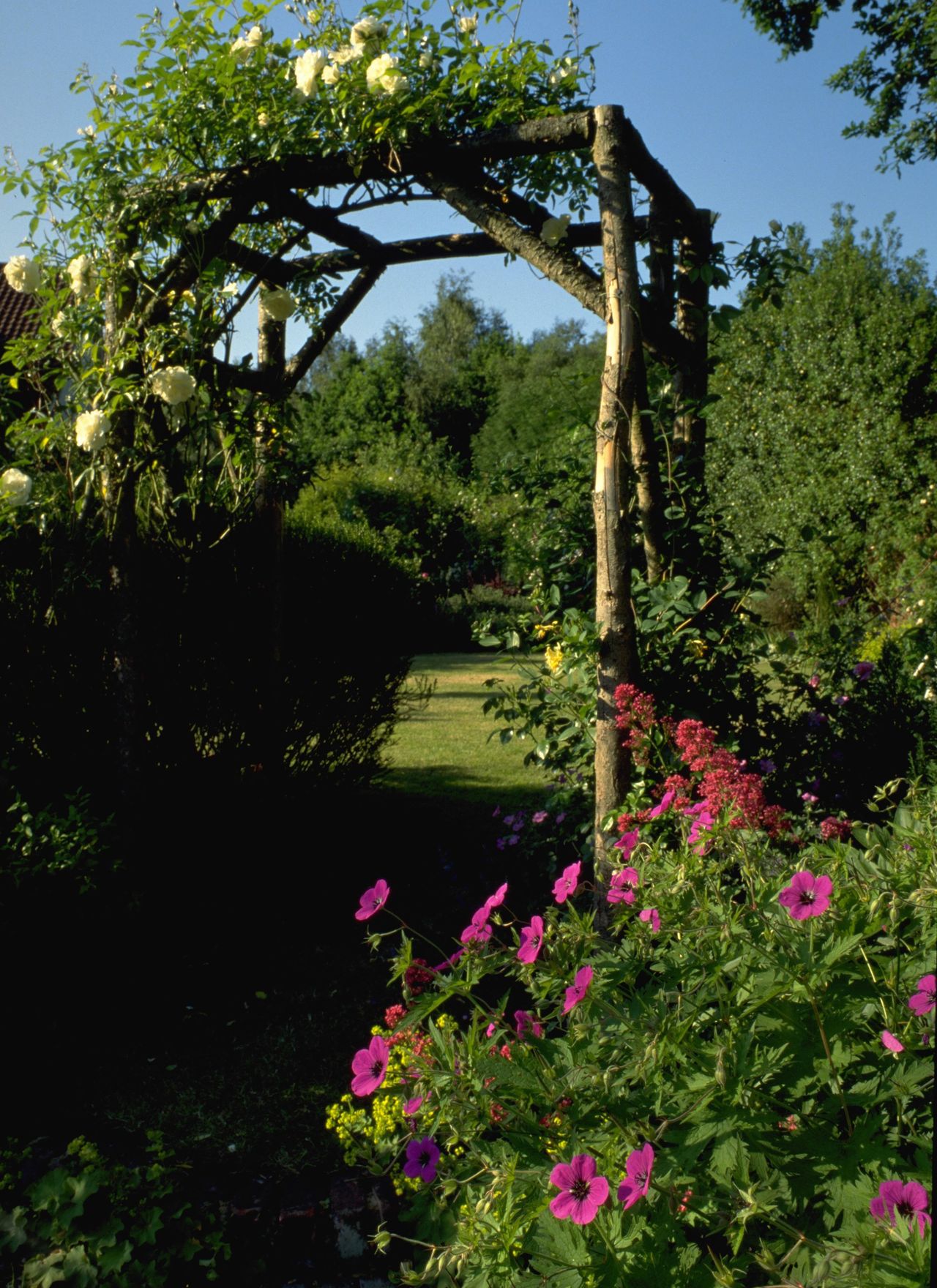 Rustic garden ideas: 16 ways to add charm and character to your plot ...