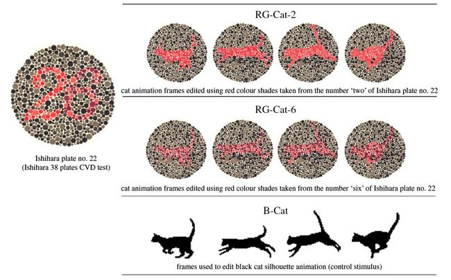 Yes, Dogs Can See Colors — But Only Some | Live Science
