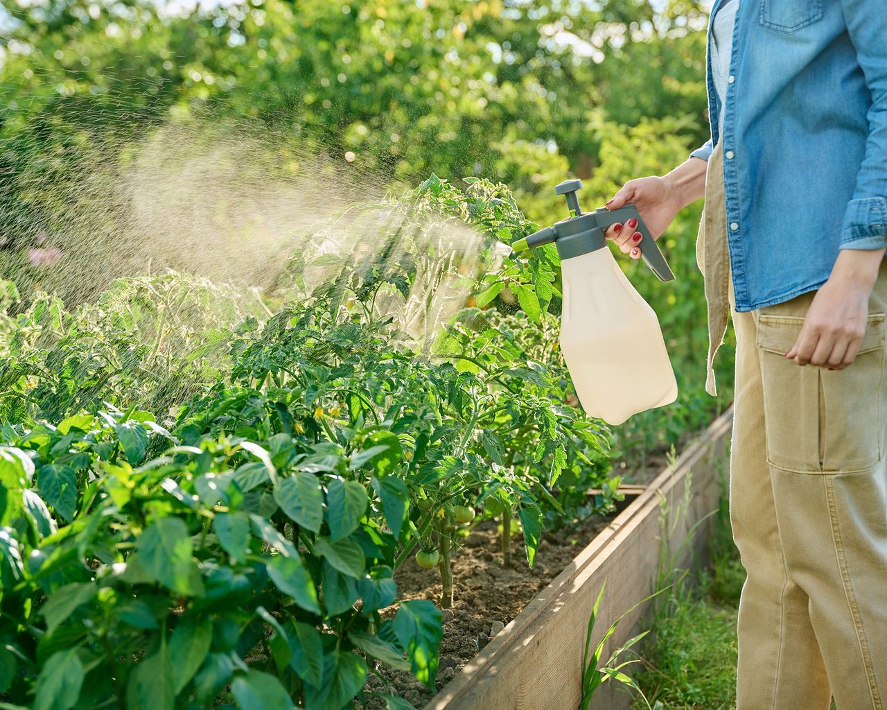 8 Steps To Rid Your Vegetable Garden Of Pests Naturally | Gardening ...