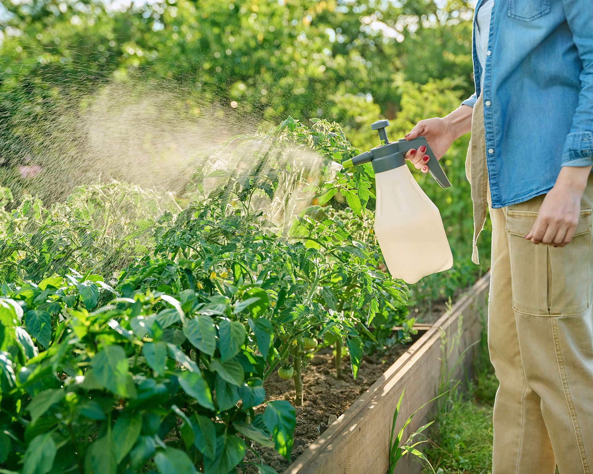 DIY Garlic Spray For Plants To Keep Your Garden Pest-Free | Gardening ...