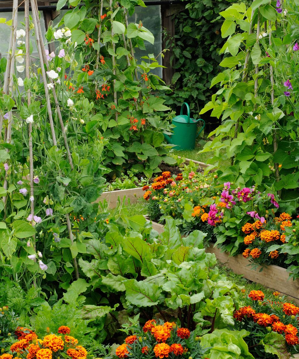How to design a potager garden for vegetables and flowers | Gardeningetc