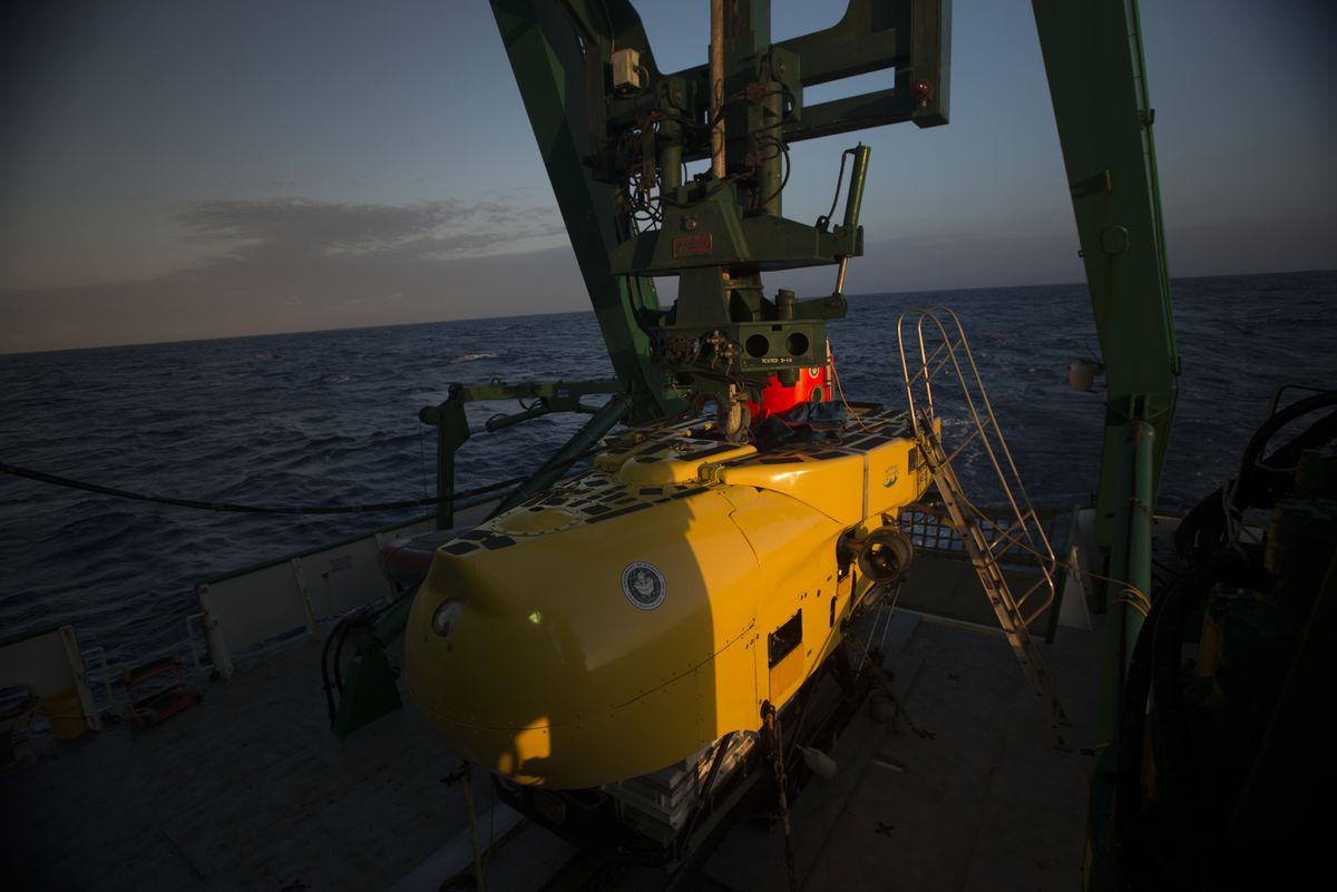 In Photos: Seamount Dives Reveals Rare Marine Life | Live Science