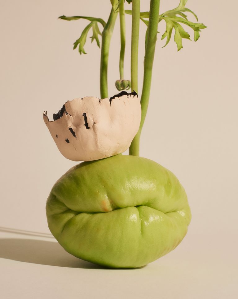 Second nature: sharp silhouettes and sculptural still lifes collide in ...