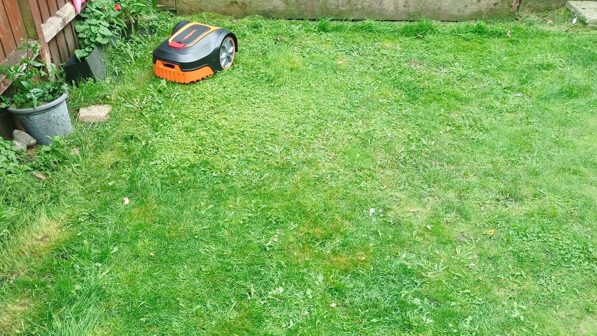 LawnMaster L10 robot mower review: Say hello to hands free mowing ...